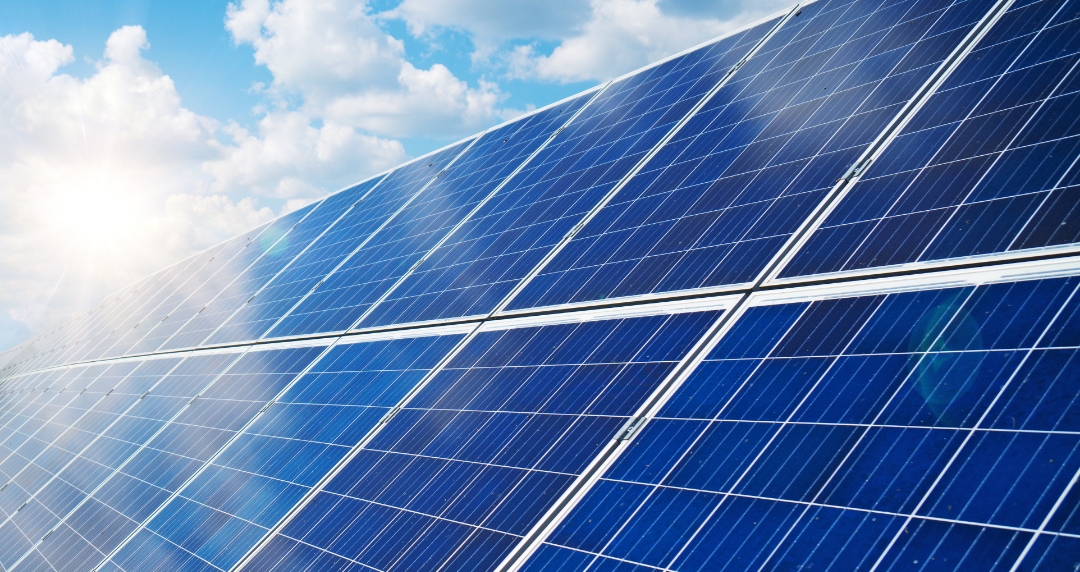 CSR｜Fujimoto Medical System